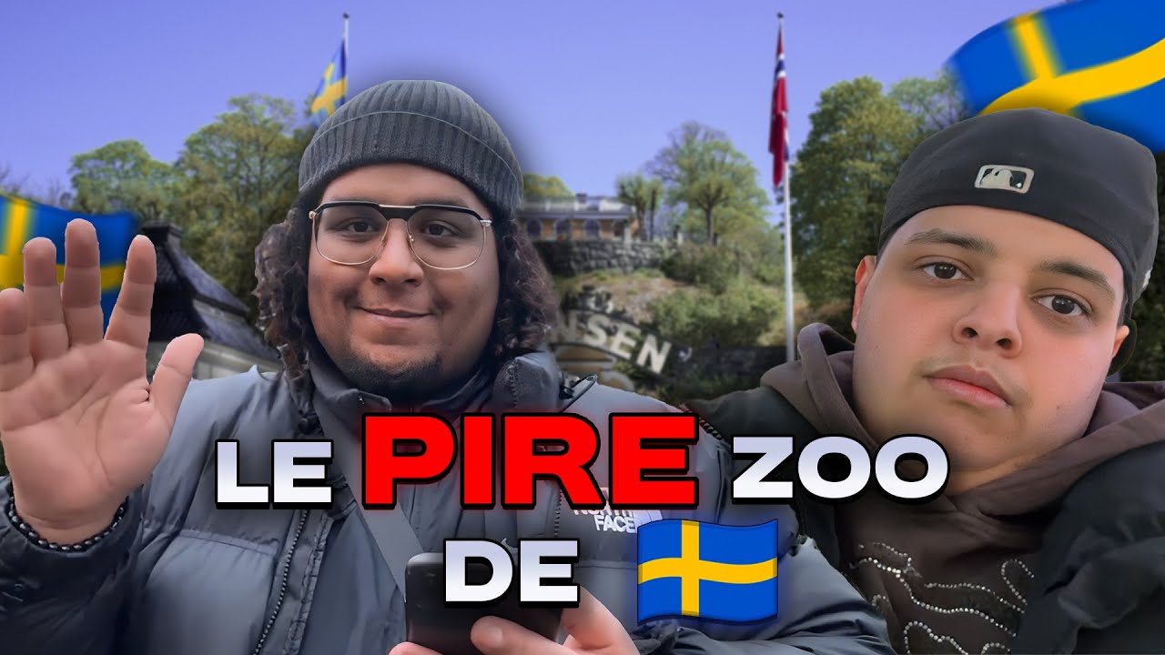 BotKZ & Marki Découvre le Zoo le Plus NUL de Suède 🦁 (Live IRL ...