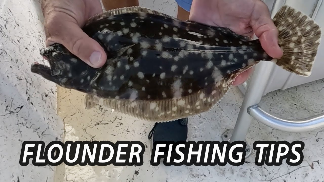 Flounder Fishing Tips (Plus Mangrove Snapper and a Red Fish) - YouTube