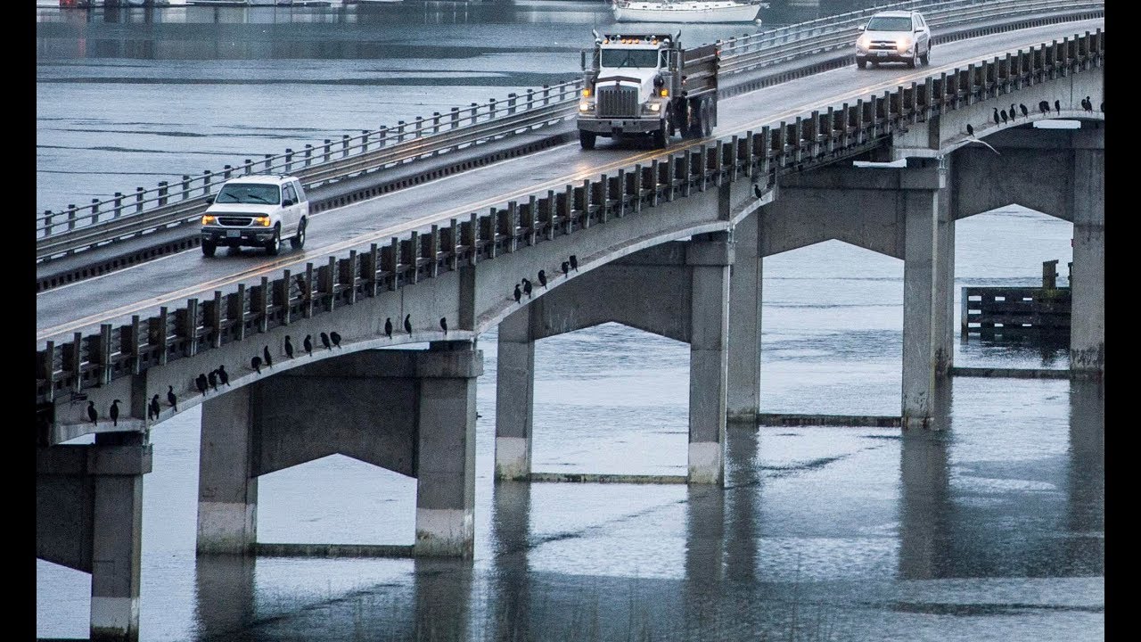 The Fox Island Bridge Repair or Replace? - YouTube