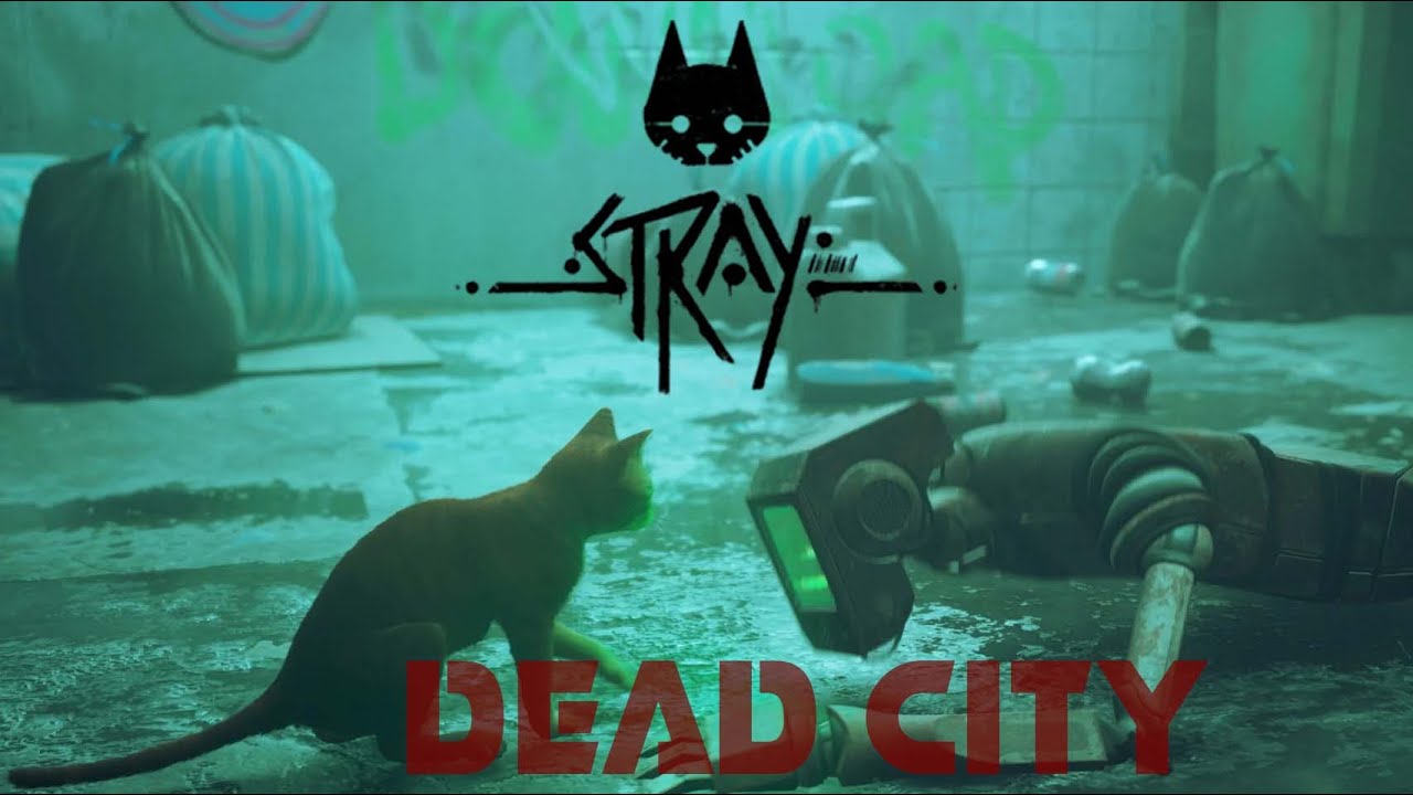 STRAY - DEAD CITY Gameplay - YouTube