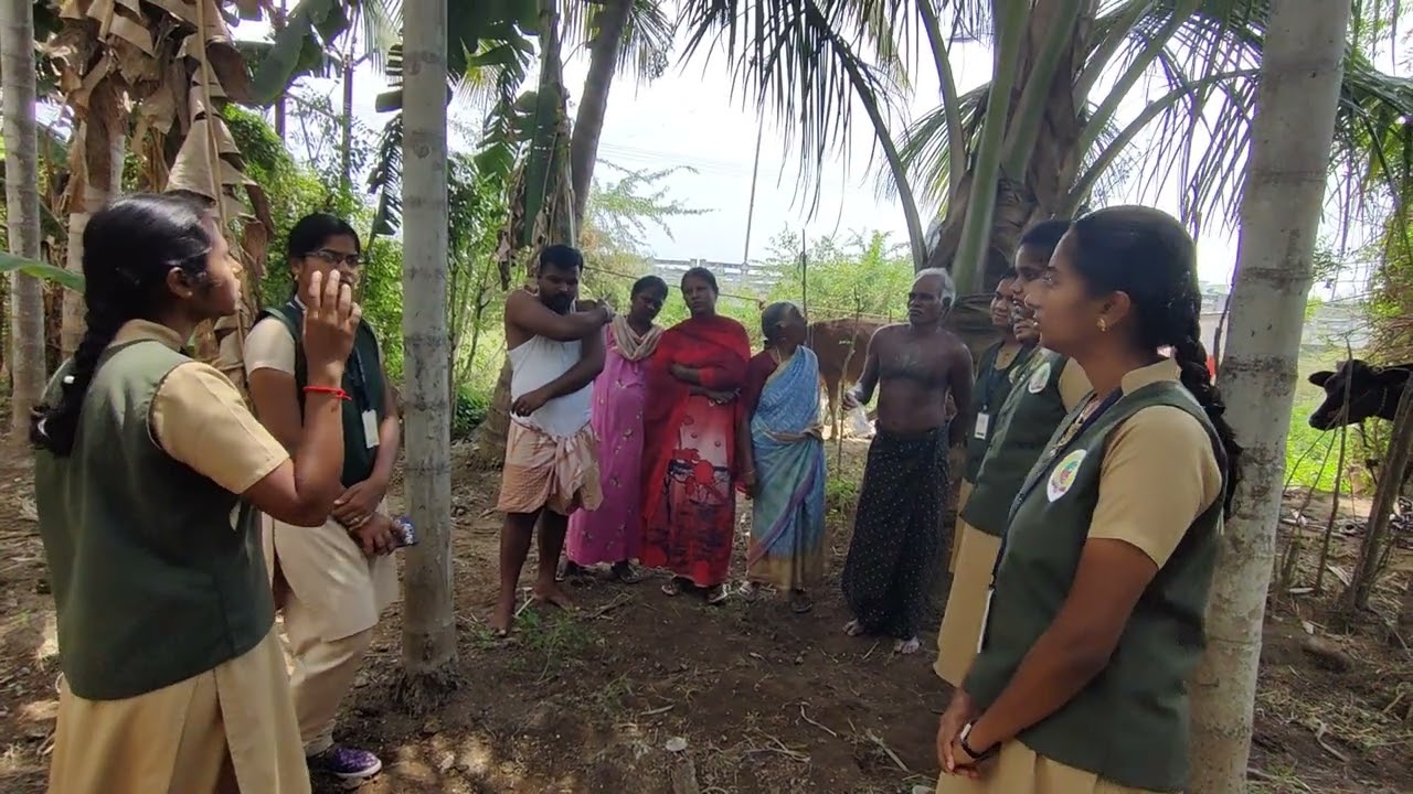 DEMONSTRATION OF BRACON BREVICORNIS - YouTube