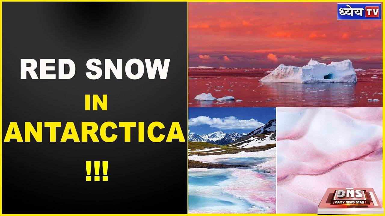 DNS: WHY IS SNOW IN ANTARCTICA TURNING RED ? - YouTube
