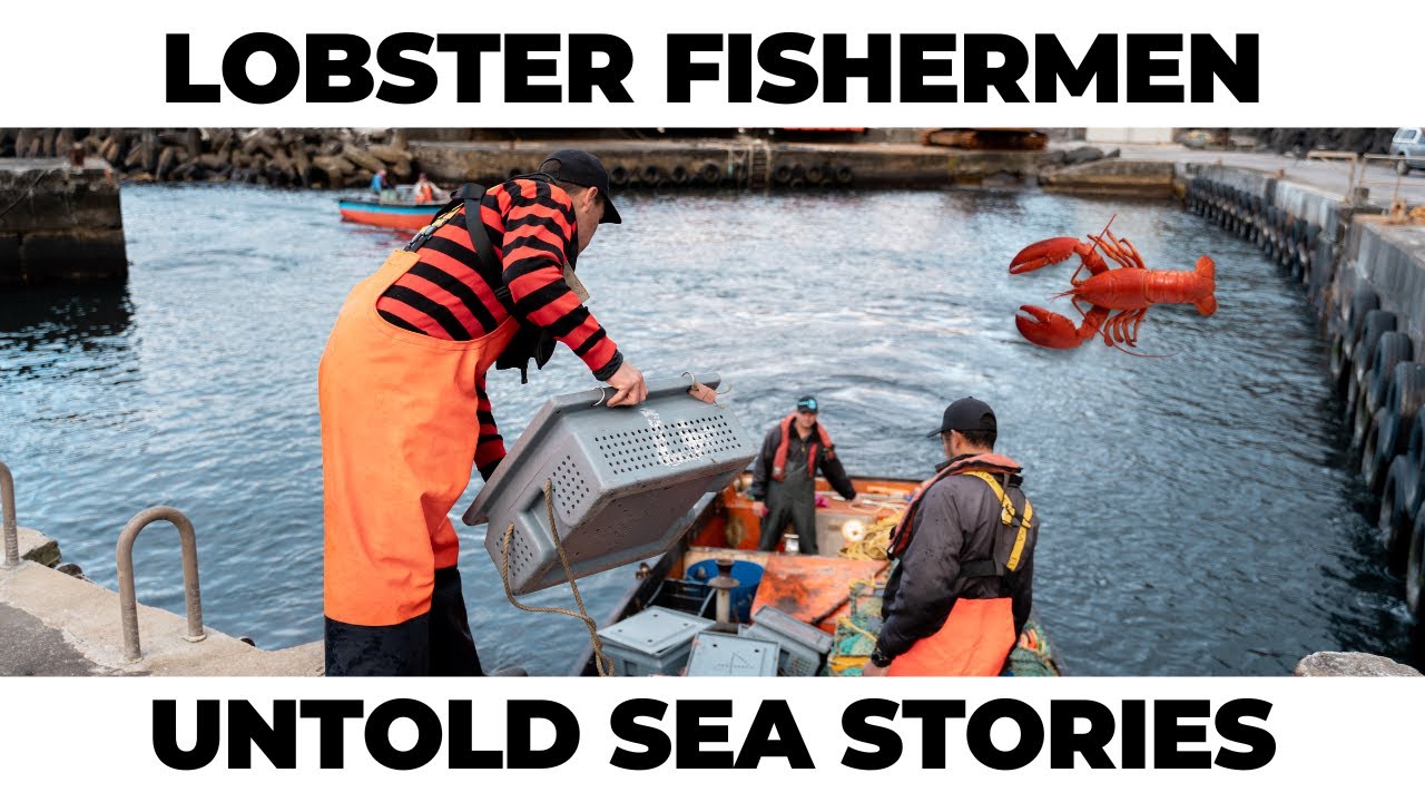 Inside the Gritty World of Lobster Fishing: Untold Sea Stories - YouTube