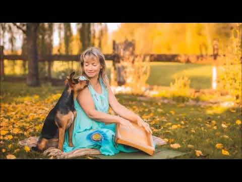 Wenn du jemals vergisst, wie schön du bist (mit Harmonium gesungen) - YouTube