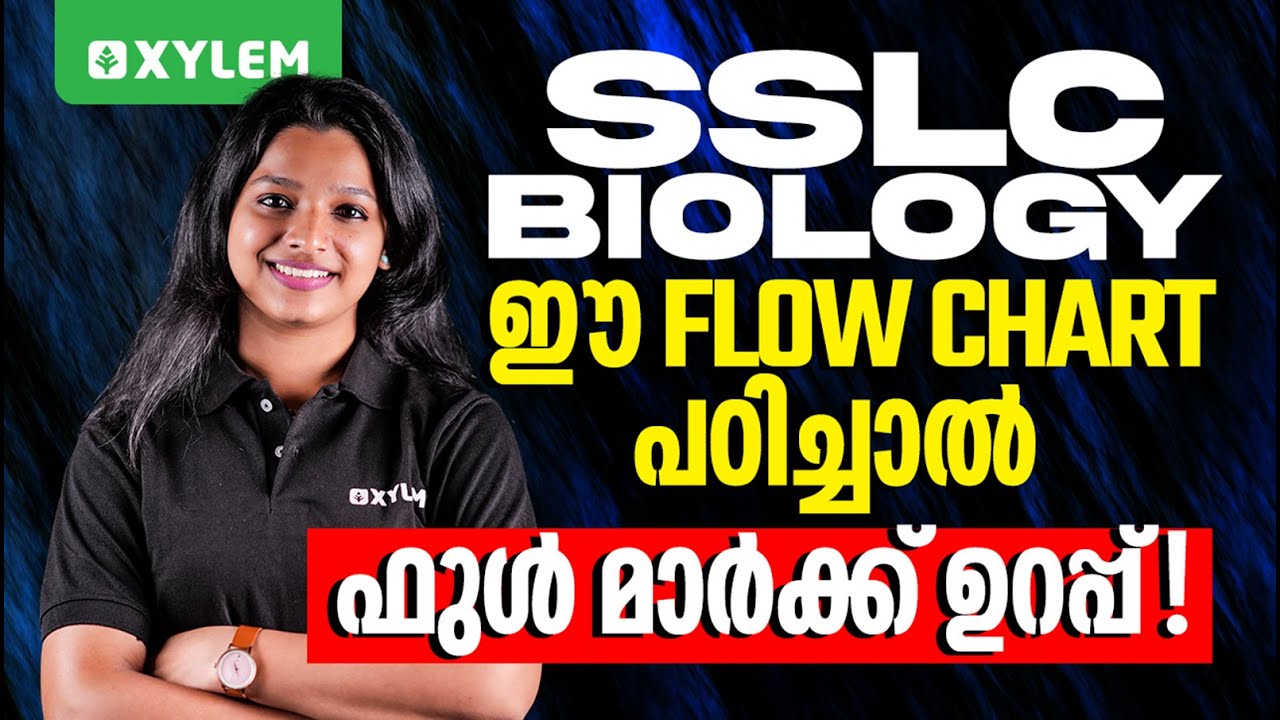 SSLC Biology | ഈ Flow Chart പഠിച്ചാൽ ഫുൾ മാർക് ഉറപ്പ്! | Xylem SSLC ...