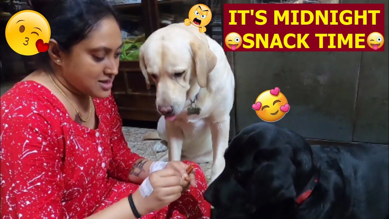 IT'S 4:00am , AND IT'S SNACK TIME FOR COCO & ANGEL 😂😂😂 | WATCH THE SNACK ATTACK BY COCO & ANGEL🥰 ...