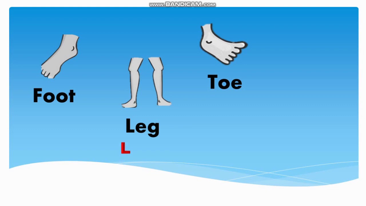 Science grade 1 - Parts of body (page 1-5) - YouTube