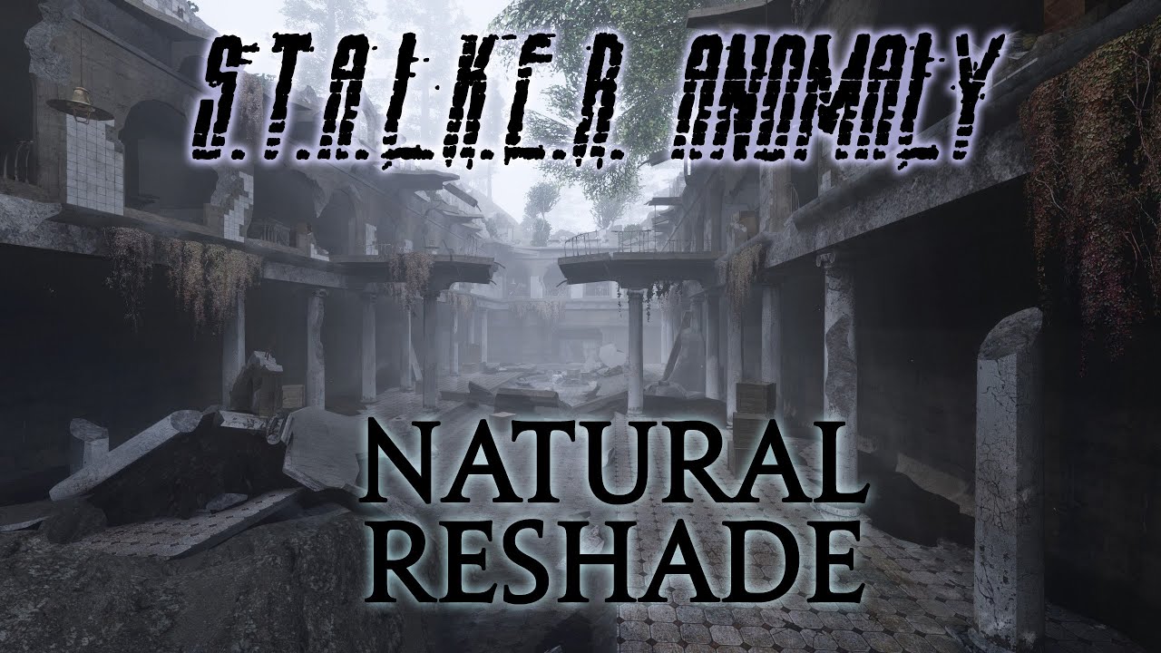 STALKER ANOMALY - STUNNING NATURAL RESHADE - YouTube