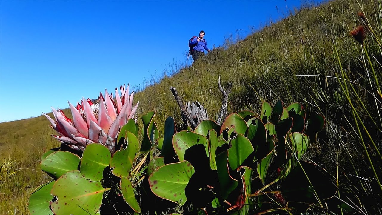 The Boland Hiking Trail-Nuweberg to Landroskop - YouTube
