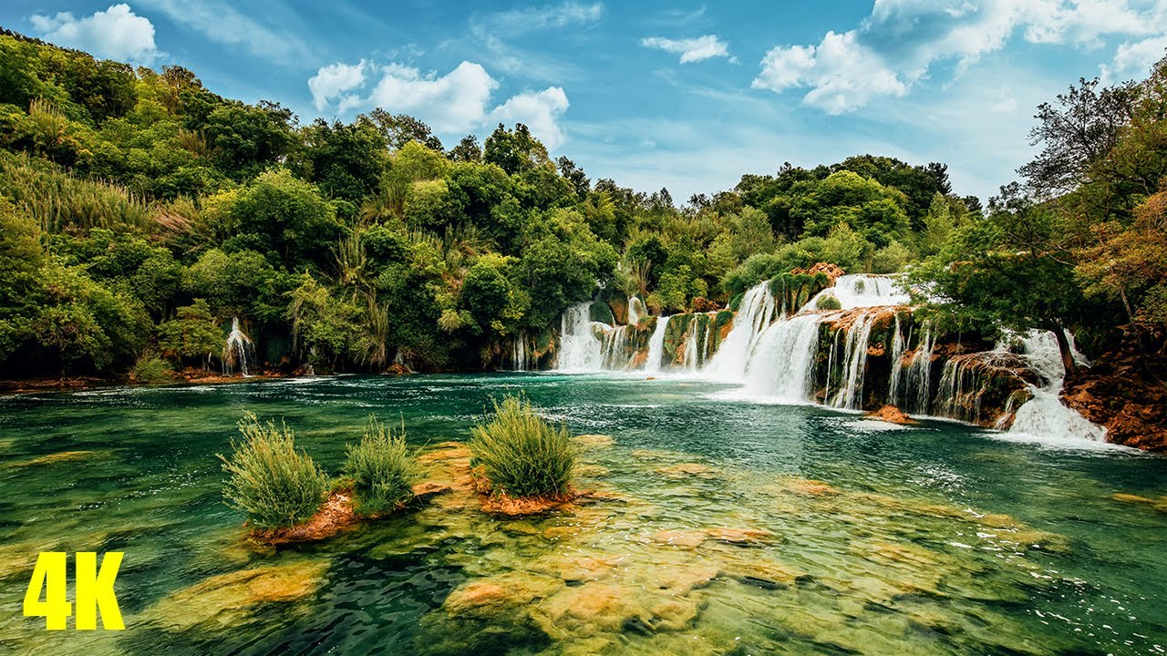 Relaxing Piano Music with Beautiful Nature Scenery and Bird Sounds ...