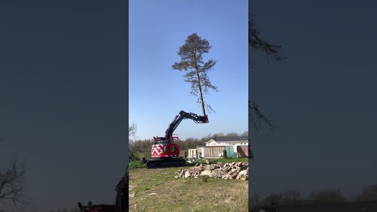 Greenwoods Tree Contractors new Vosch 1900 Grapple Saw - YouTube