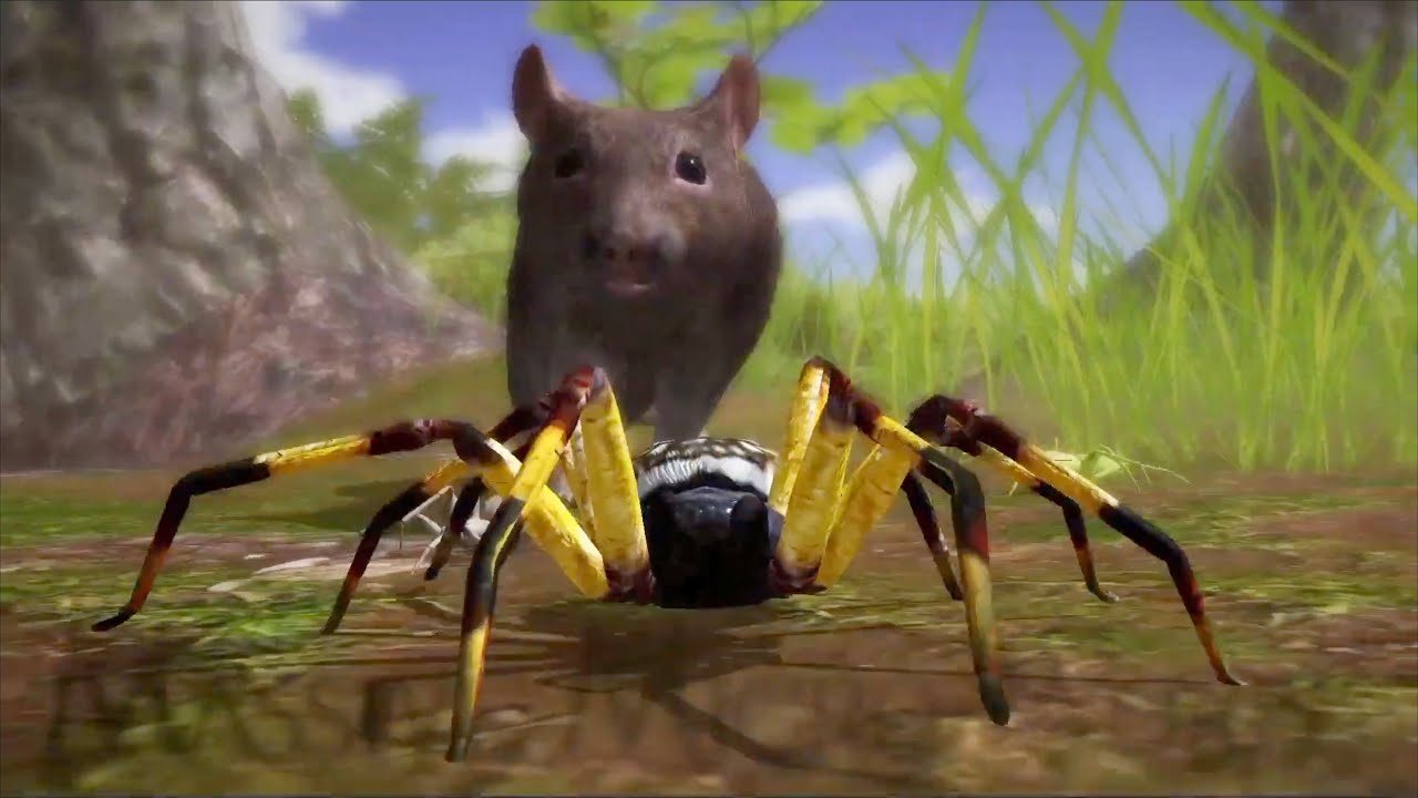 Rat Vs Spider
