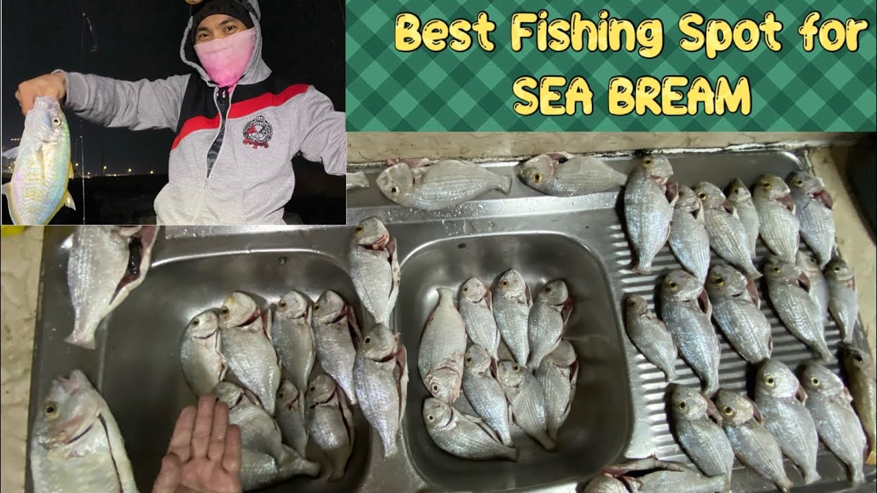 Best Fishing Spot for SEA BREAM - YouTube