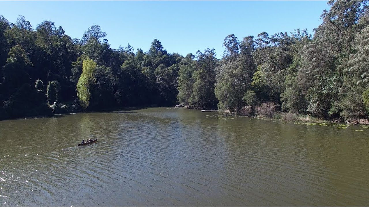 Toonumbar Dam - Northern Rivers, NSW - YouTube