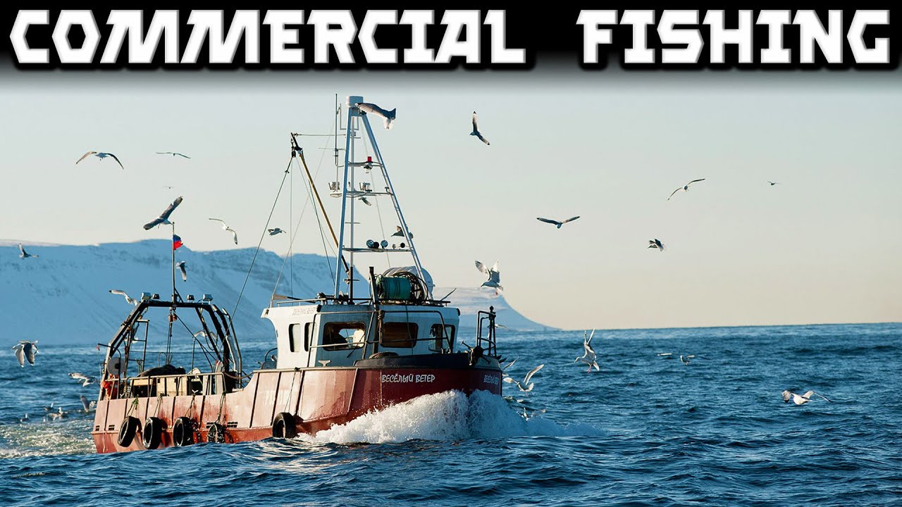 Commercial Fishing and Fish Processing in the Soviet Far East #ussr ...