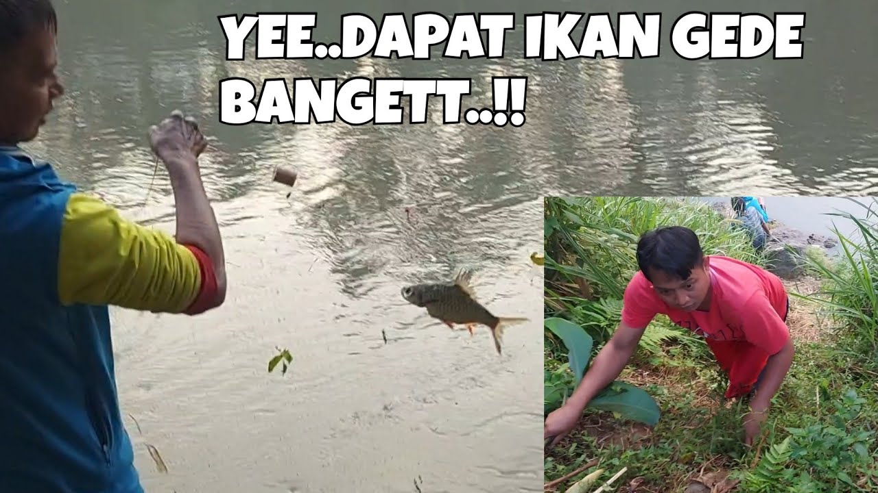 Yee..DAPAT IKAN GEDE BANGETT..!! ||Pagi pagi seru.. Nyari ikan segar di ...