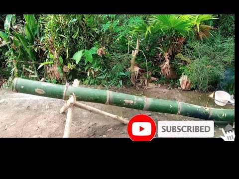 Lantaka bamboo cannon|Tutorial how to make bamboo cannon|lantaka very loud bamboo cannon - YouTube