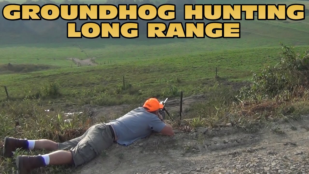 Long Range Groundhog Hunting 2014 - YouTube