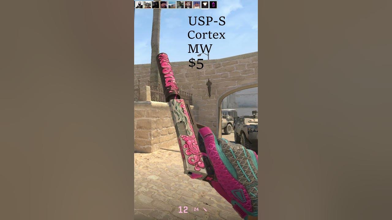 BEST USP-S Skins Under $10 #cs2 #csgo #cs2skins - YouTube