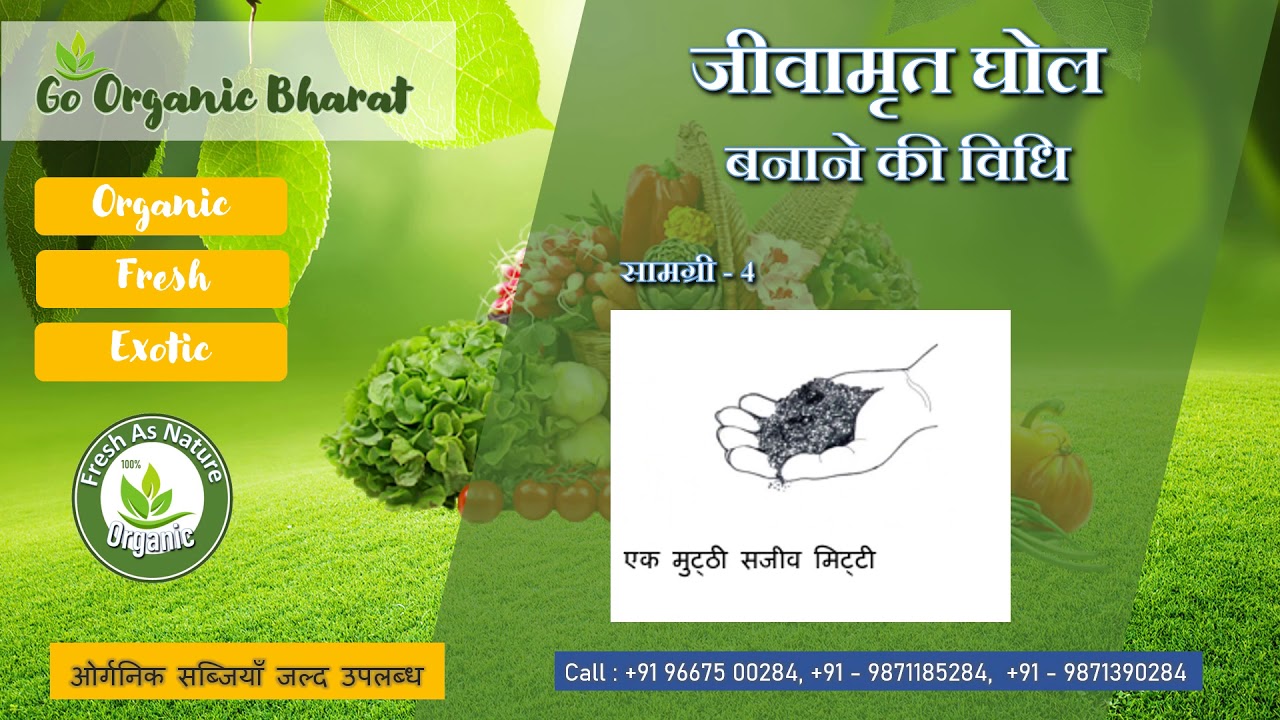 Jivamrit Ghol - Maintaining the Soil Health is must for Organic ...