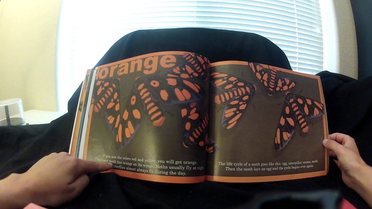 icky! bug colors - YouTube