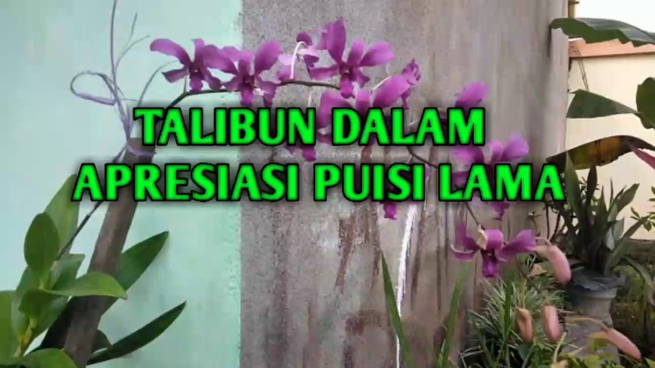 TALIBUN DALAM APRESIASI PUISI LAMA (08) - YouTube