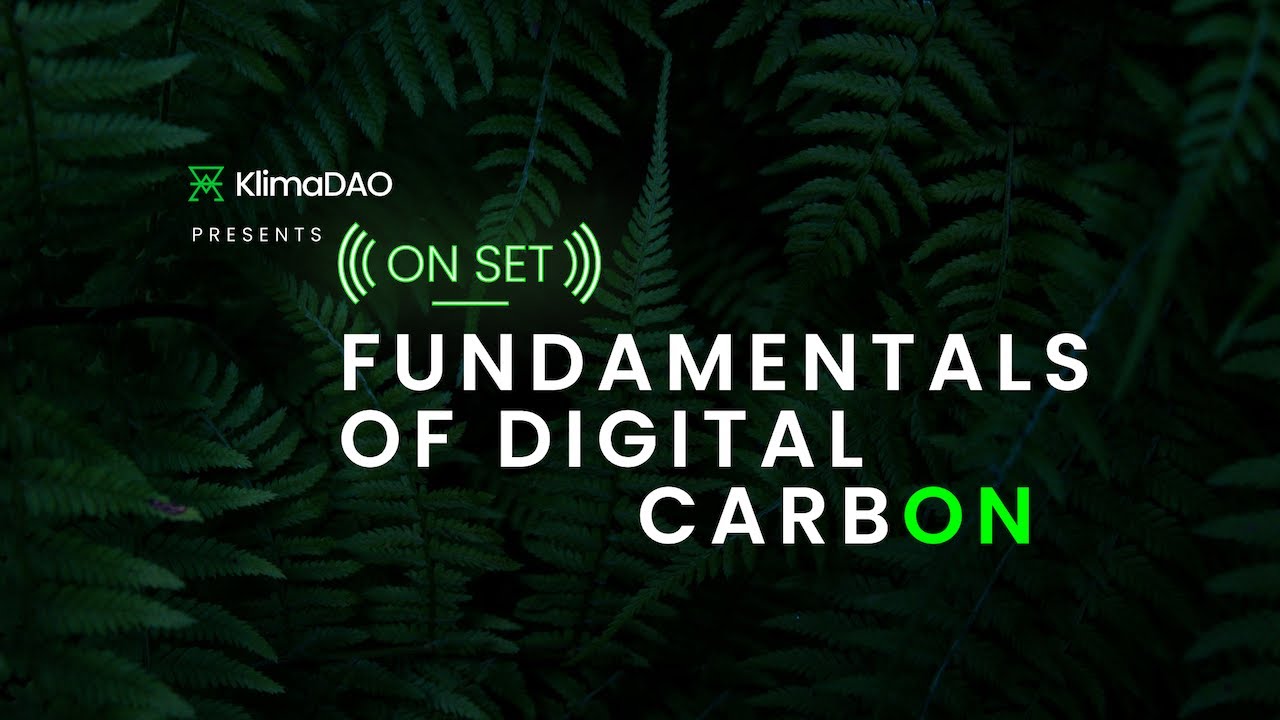 ON SET #1 | The Fundamentals of Digital Carbon 🌱 - YouTube