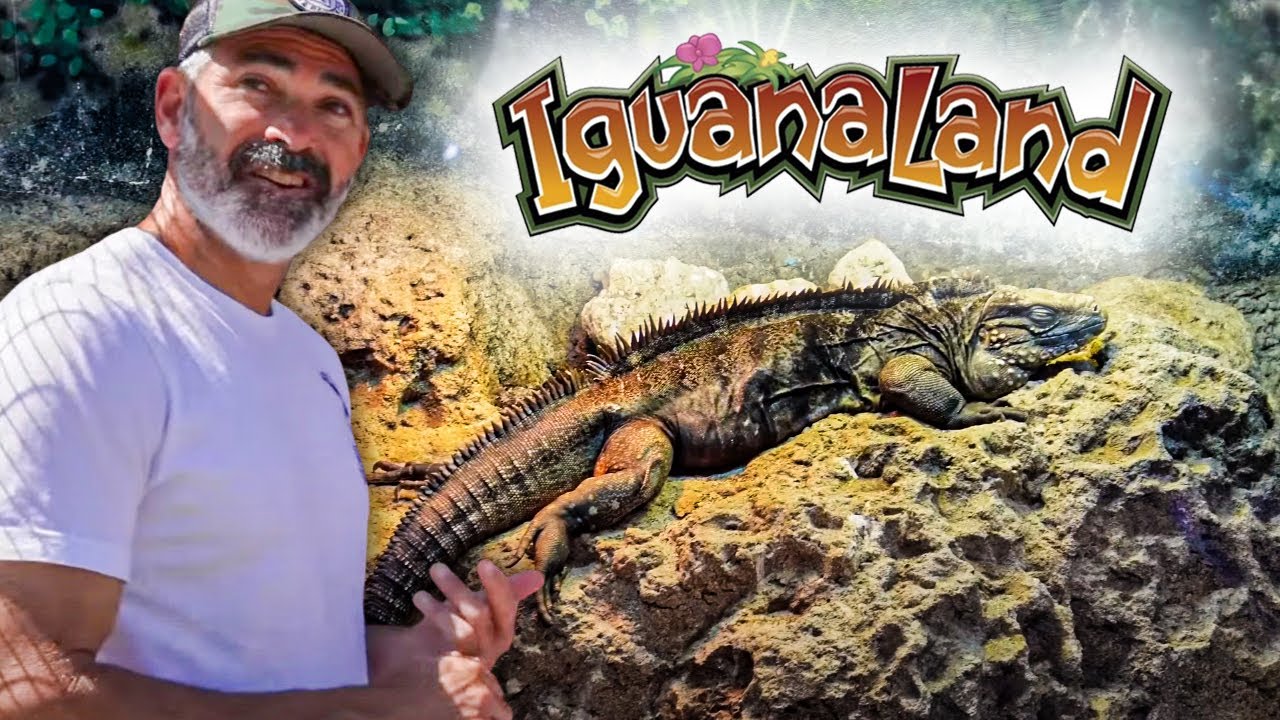 PART 2 Amazing Tortoises, Turtles, Monitors and Iguanas! Visiting ...