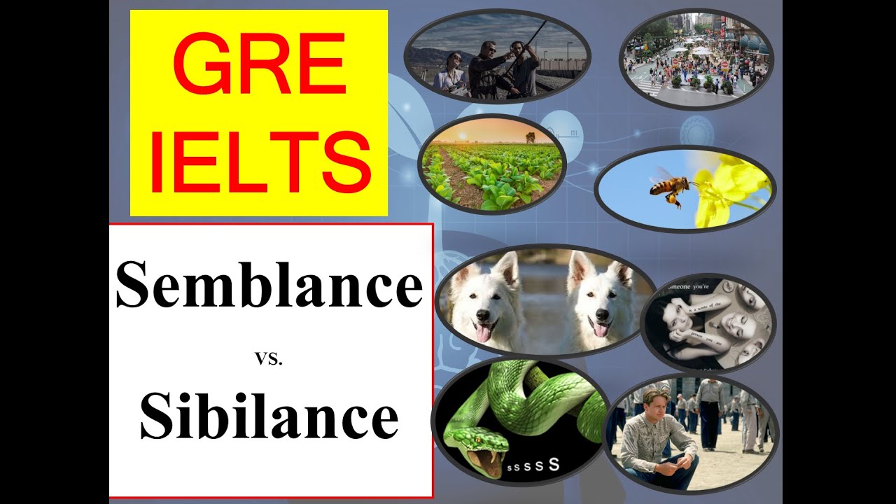Semblance, Sibilance, confusing GRE and IELTS words | #gre #ielts # ...