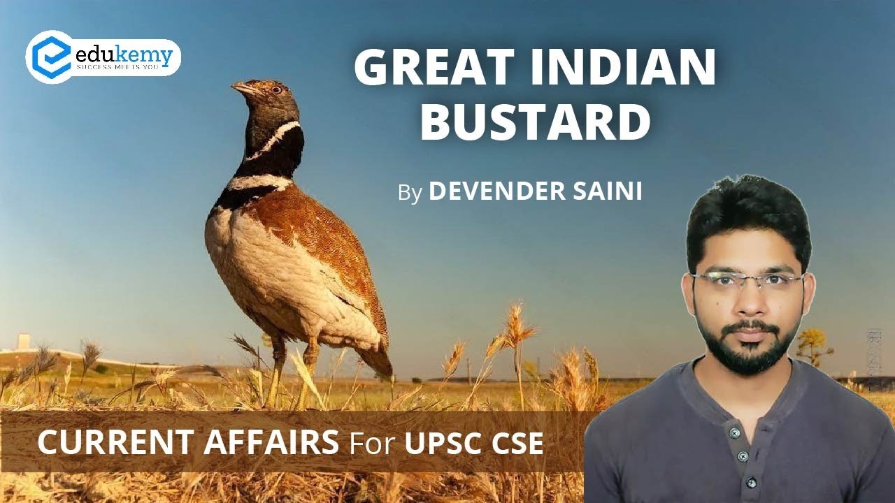 Great Indian bustard | Current Affairs | Devendra Saini | UPSC CSE ...