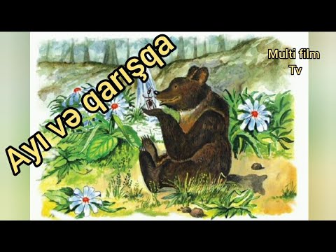 AYI VƏ QARIŞQA NAĞILI /NAĞILLAR ALƏMİ