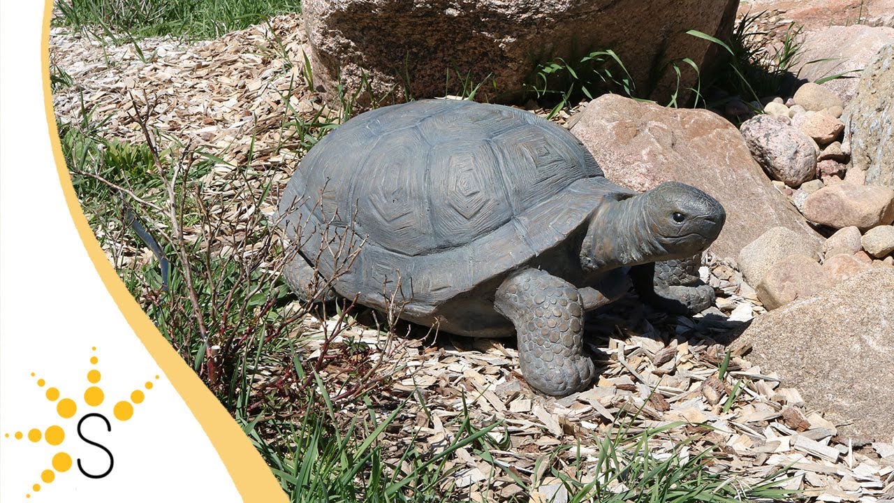 Sunnydaze Todd the Tortoise Indoor/Outdoor Garden Statue - 30"-XCA ...