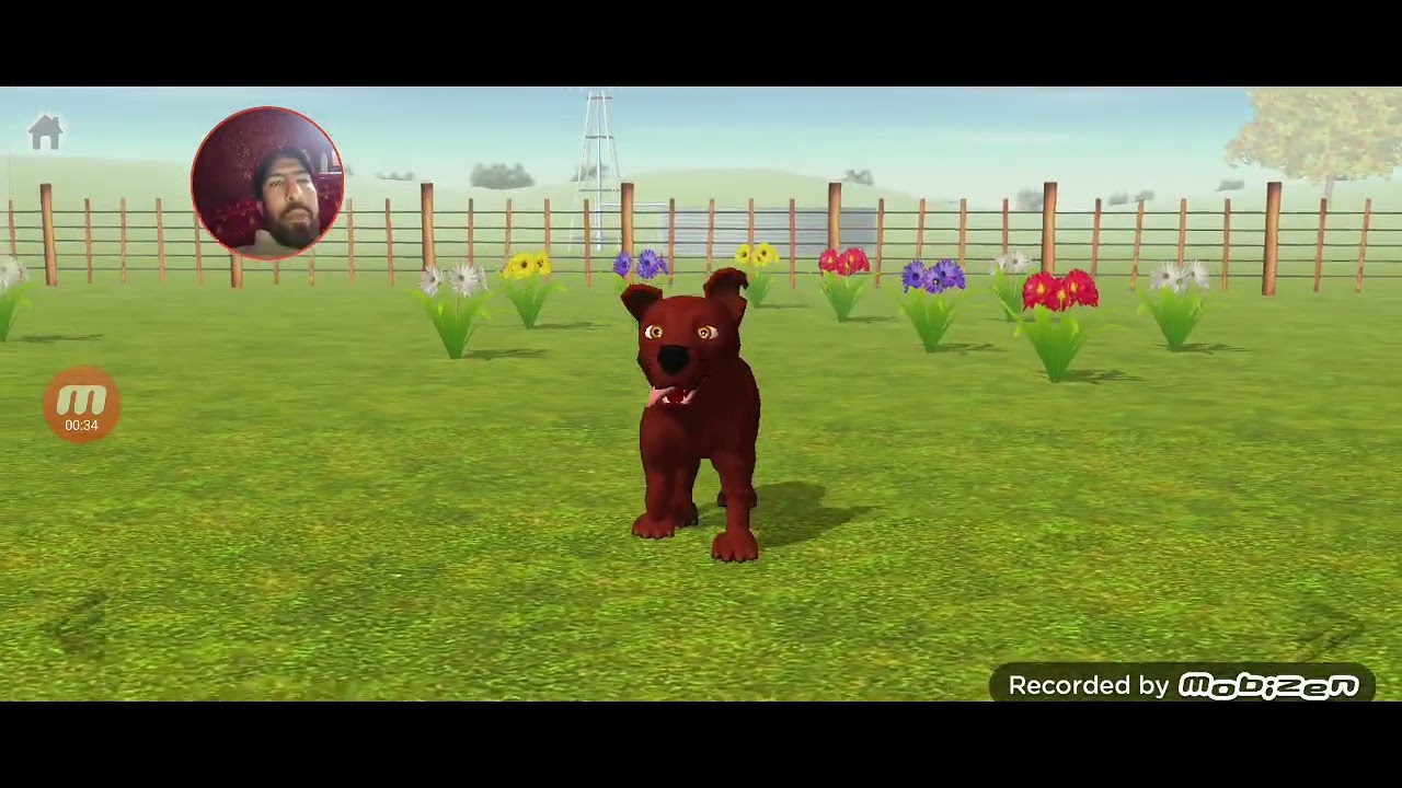 April 12, 2024( dog maro part 825 - YouTube