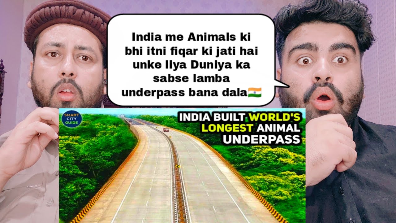 India's 1st & World’s LONGEST Animal UNDERPASS on HIGHWAY in Pench ...