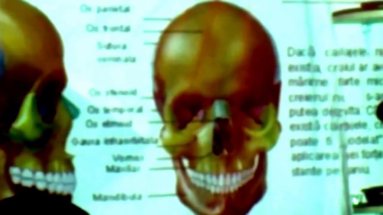 Anatomie - sistemul osos-curs - YouTube