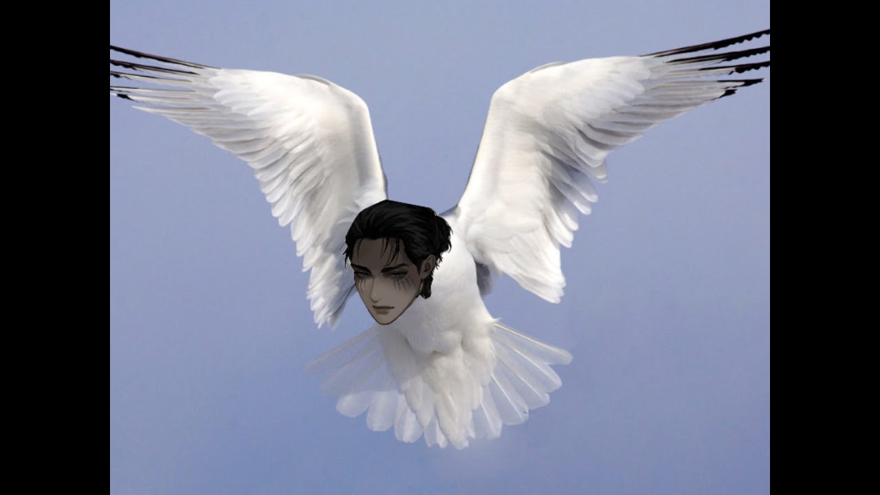 Eren turned into a bird?! - YouTube