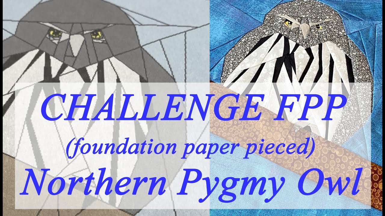 Bird of the Month February 2023 - Northern Pygmy Owl Quilt Block - FPP ...