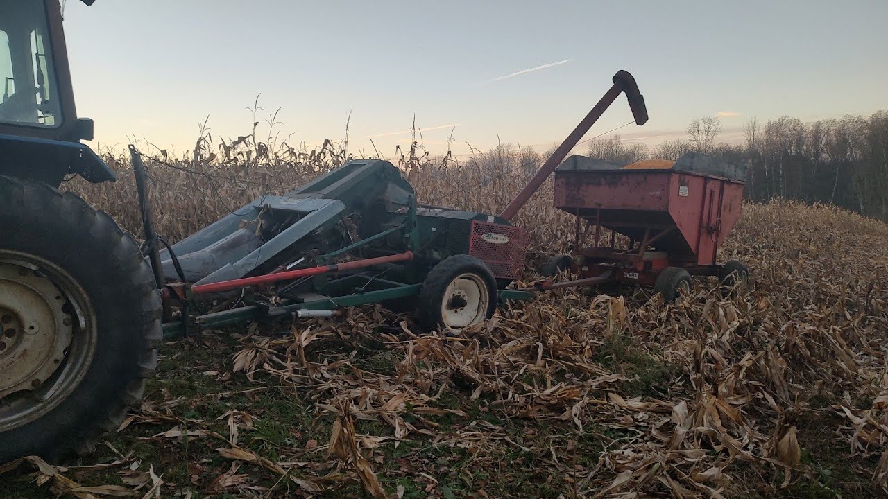 A good day shelling with the New Idea 329 sheller but not the wagon ...