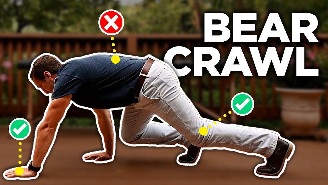 Primal Bear Crawl | Full-Body Strength and Mobility | A Doctor of ...