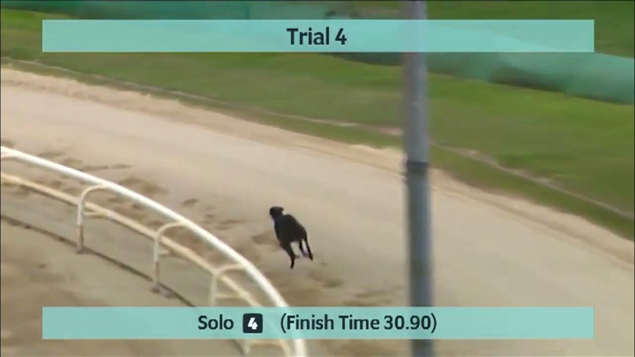 Monmore Greyhounds Trials on 27th April 2023 - YouTube Monmore Greyhounds Trials on 27th April 2023 - YouTube
