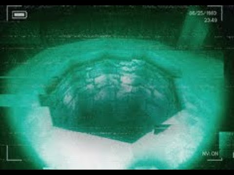 ALIEN DOGS EVERYWHERE!!! - YouTube