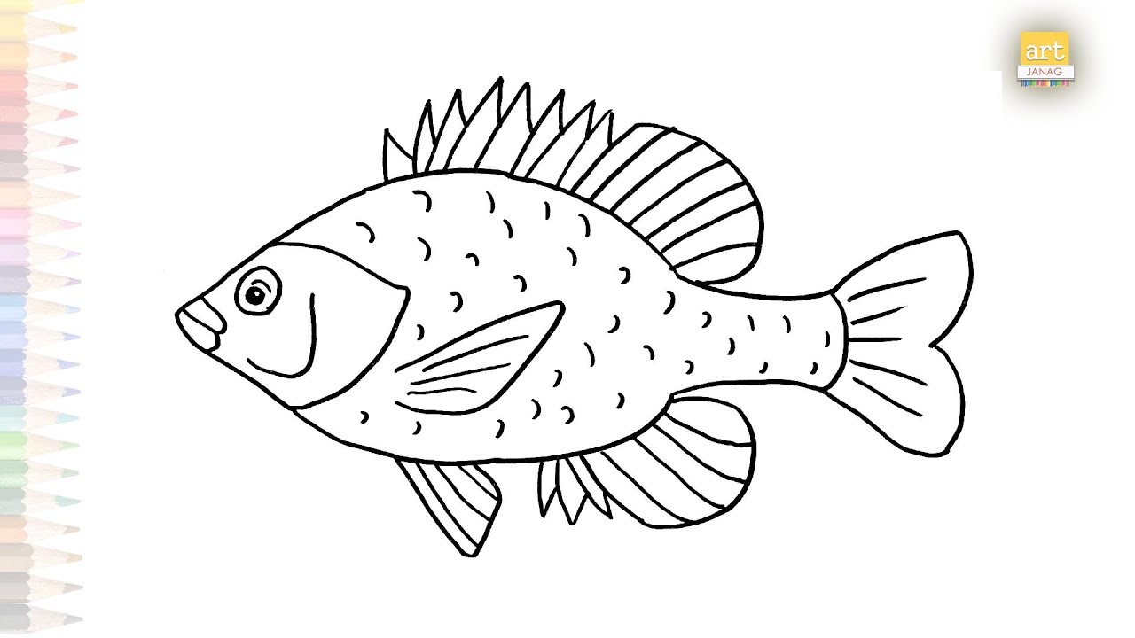 River fish drawing video | Fish drawing tutorials | How to draw river ...