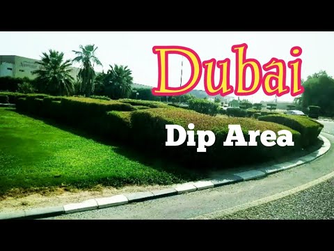 Dubai Dip Area / Jabal Ali Dip /Investment Park /SPG TRAVEL? - YouTube
