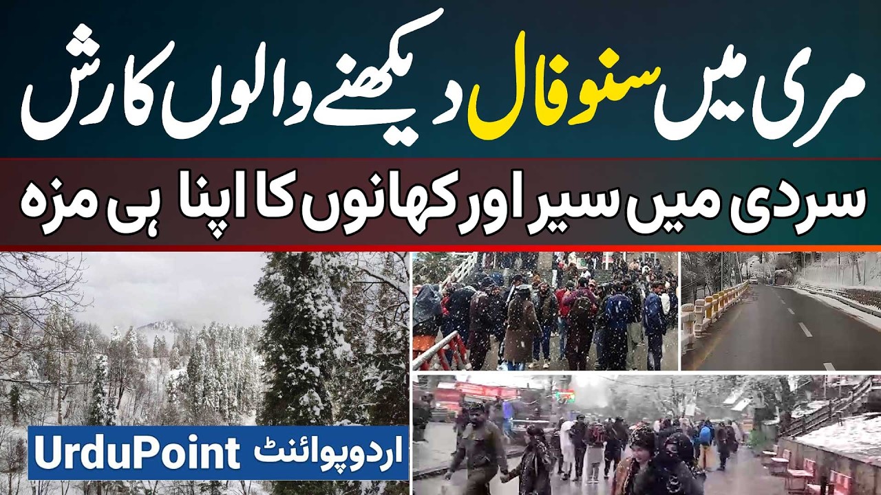The Rush of People In Murree To See The Snowfall - Walking And Eating ...