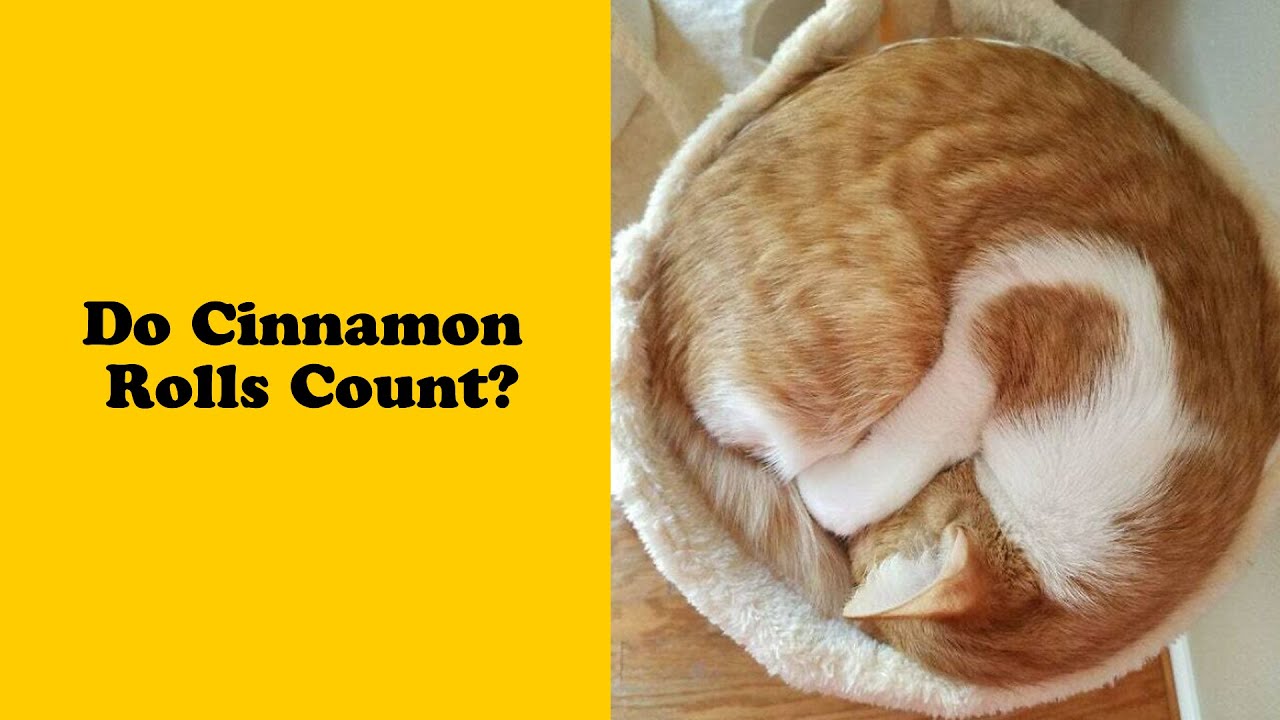 50 Of The Cutest Pictures Of Cats Embracing Their Loaf Identity - Cute ...