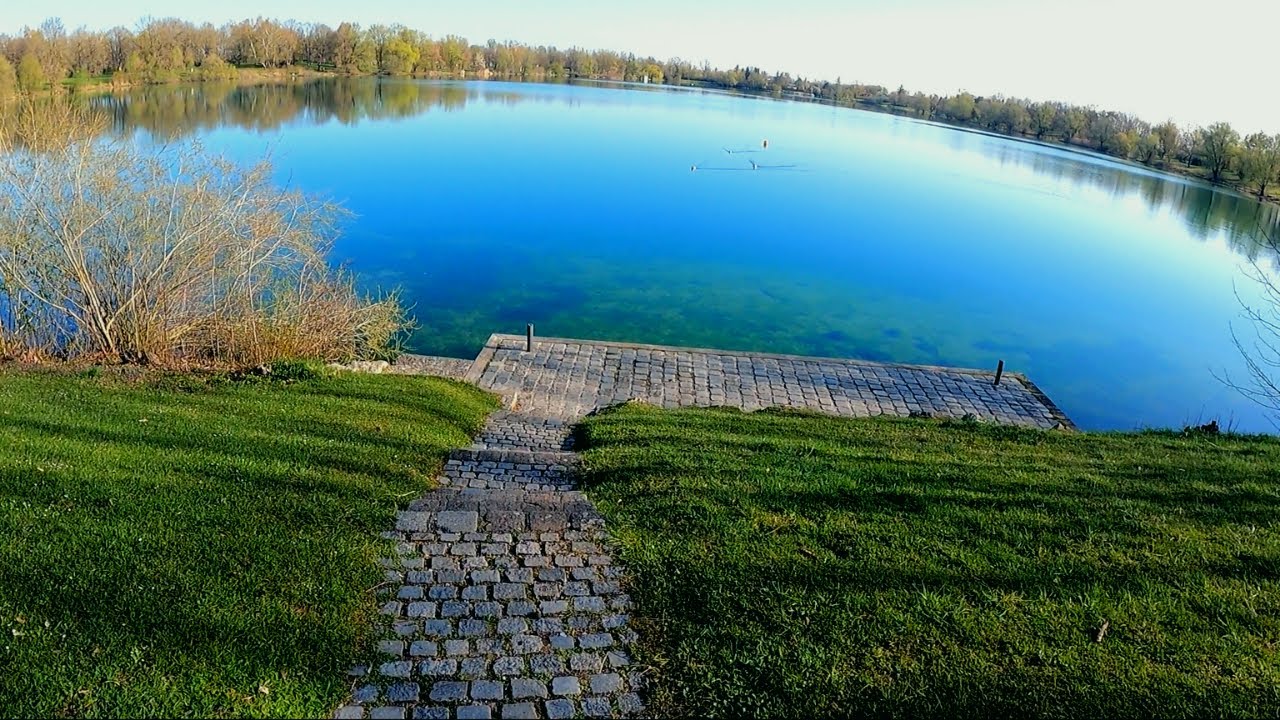 MUNICH Walking Tour with Bird Sounds| Walking around Fasanerie Lake ...