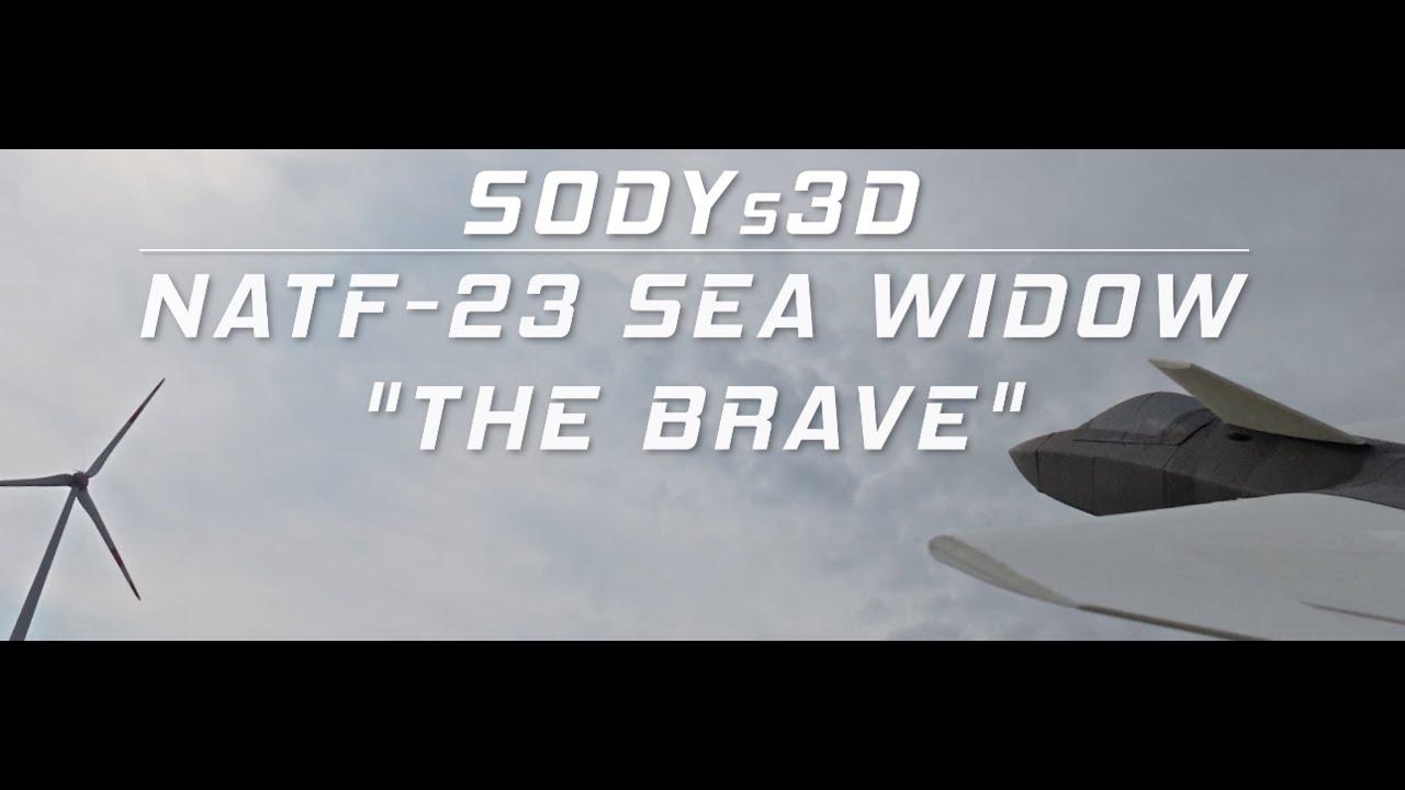 NATF-23 Sea Widow Twin 40 EDF Naval Jet 3D Printed Jet, easy to fly EDF ...