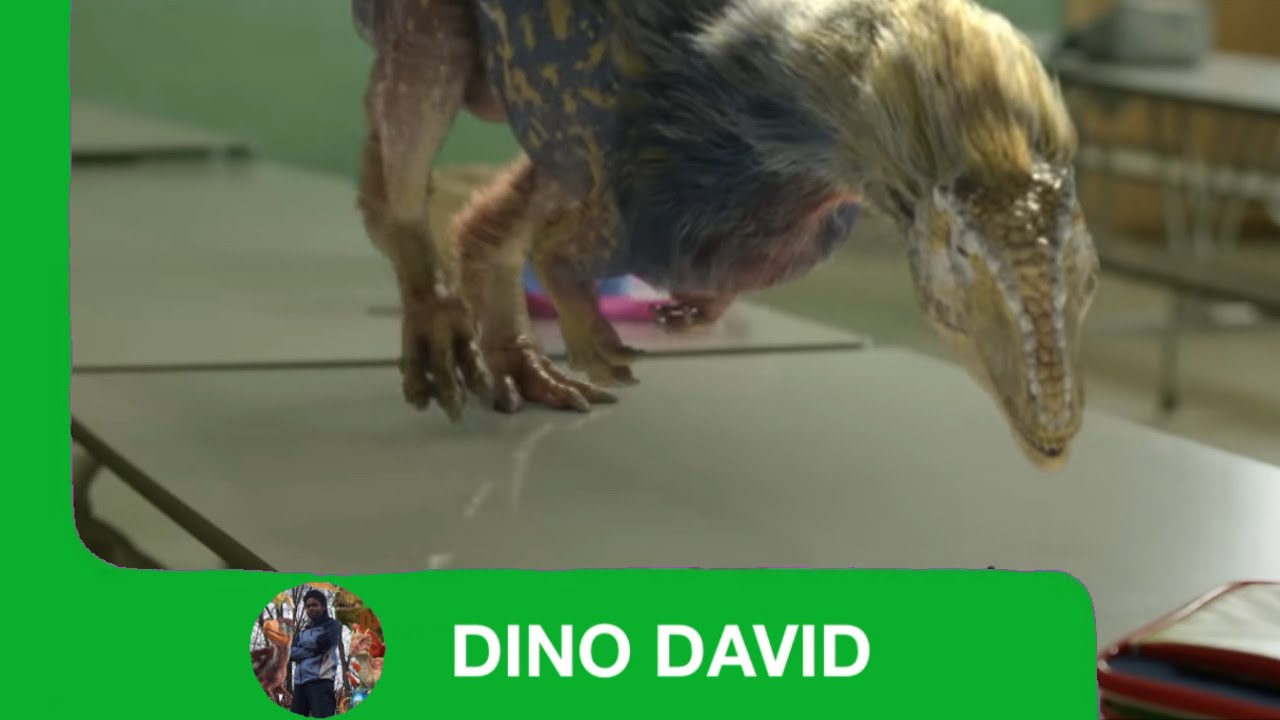 Dino David’s Field Guide: The Ozraptor - YouTube