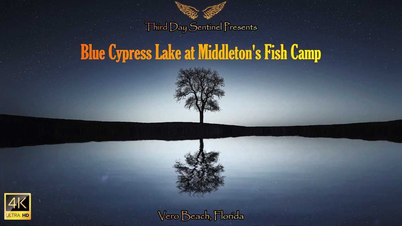 Blue Cypress Lake at Middletons Fish Camp - YouTube