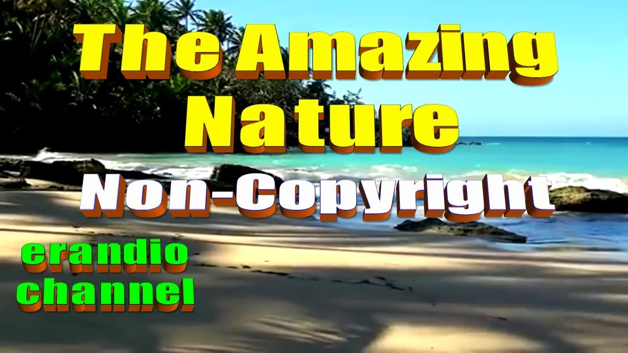 Non-Copyright / The Amazing Nature For Free background / - YouTube